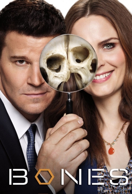دانلود سریال Bones 2005 (استخوان‌ها) با زیرنویس فارسی و تماشای آنلاین