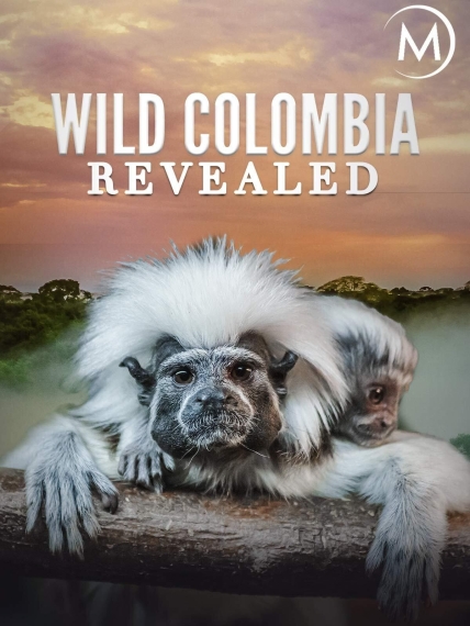 دانلود مستند Colombia magia salvaje 2015