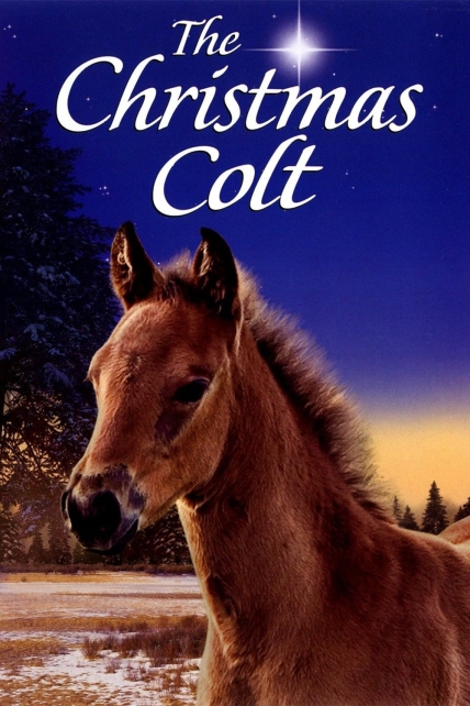 دانلود فیلم The Christmas Colt 2013