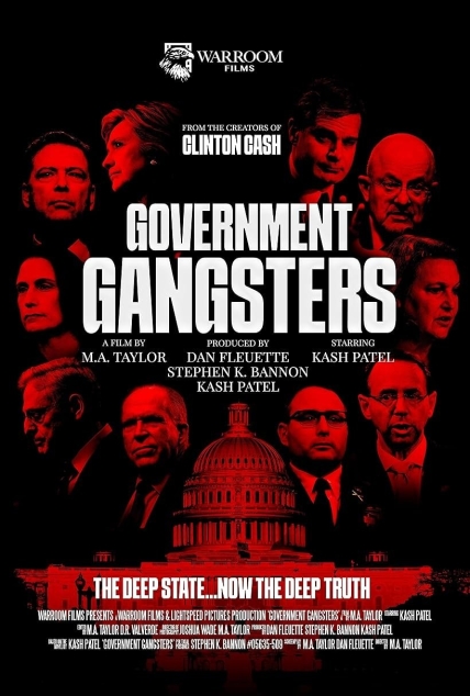 دانلود مستند Government Gangsters 2024
